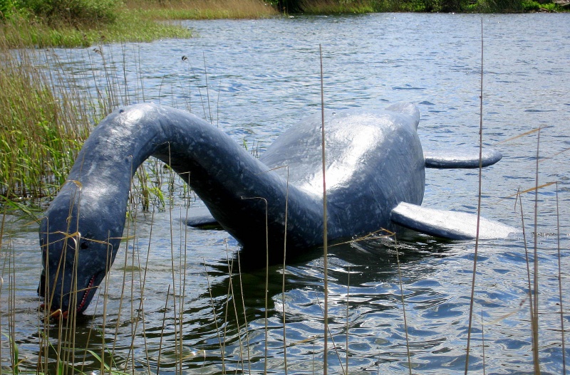 Nesija Slokas ūdenstilpnē | Zirgam.lv